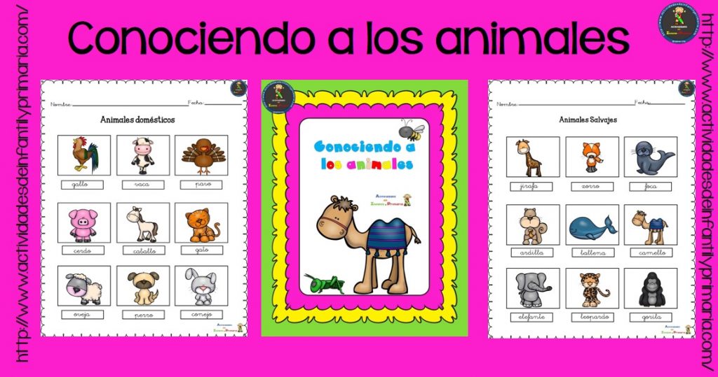 Los Animales En Primero De Primaria
