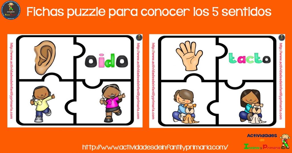 Cuadernillo Puzzle De Los Sentidos Para Primaria