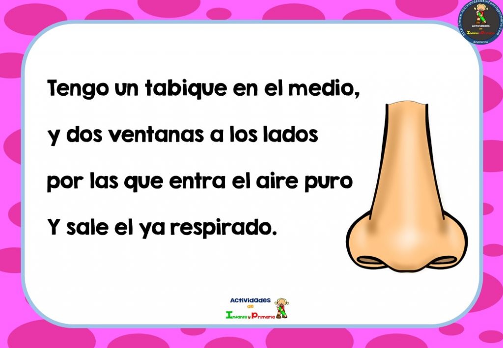 Tarjetas Adivinanzas El Cuerpo Humano Aprender Jugando