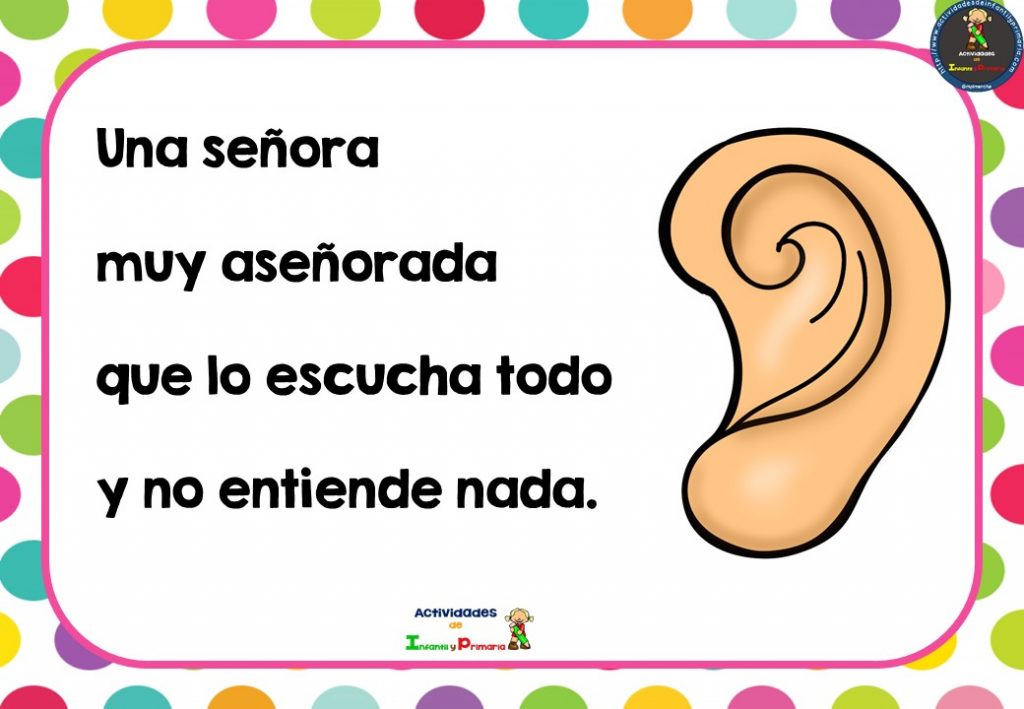 Tarjetas Adivinanzas El Cuerpo Humano Aprender Jugando