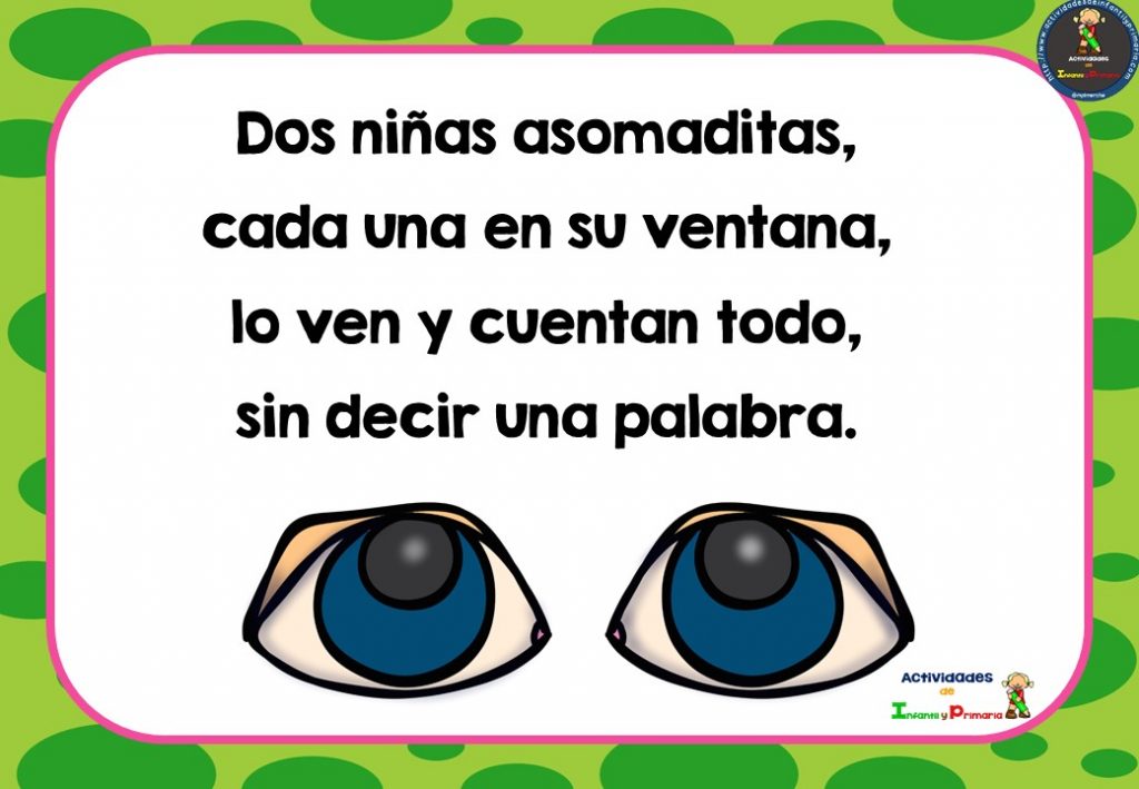 Tarjetas Adivinanzas El Cuerpo Humano Aprender Jugando