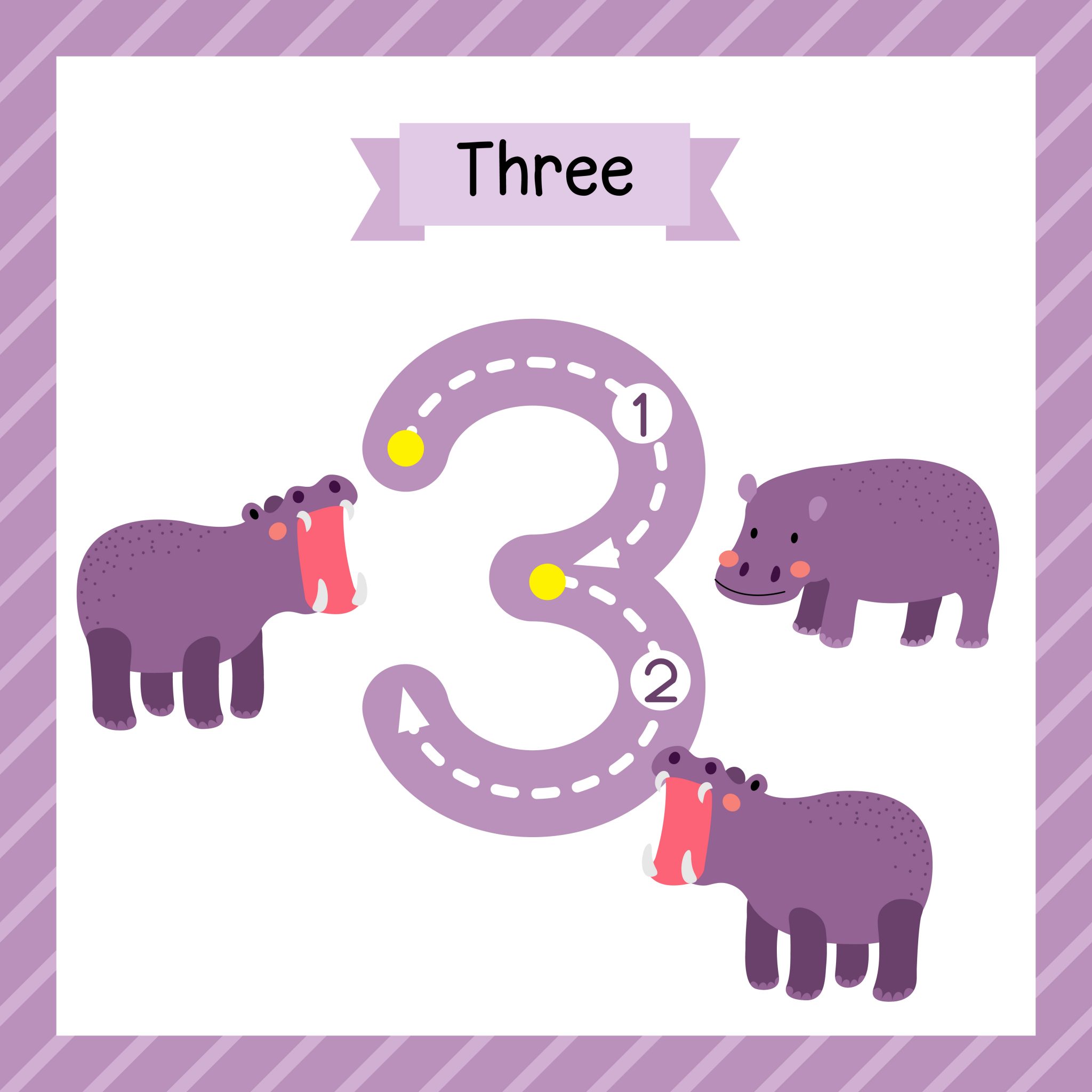 Number 3 animal tracing flash card