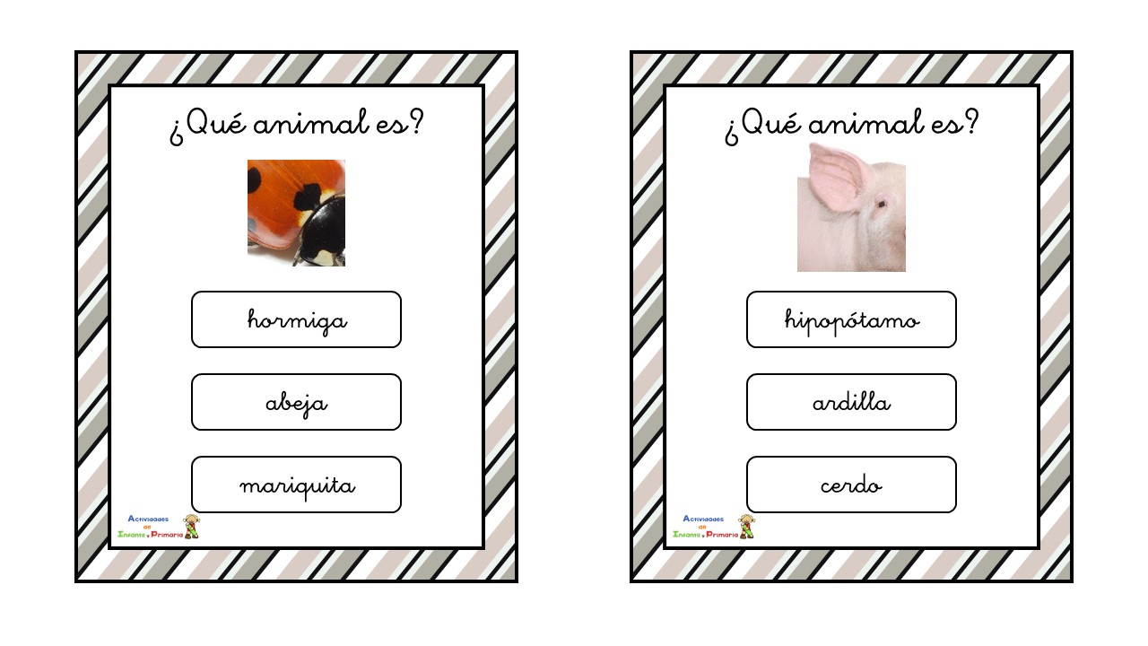 tarjetas animales (2)