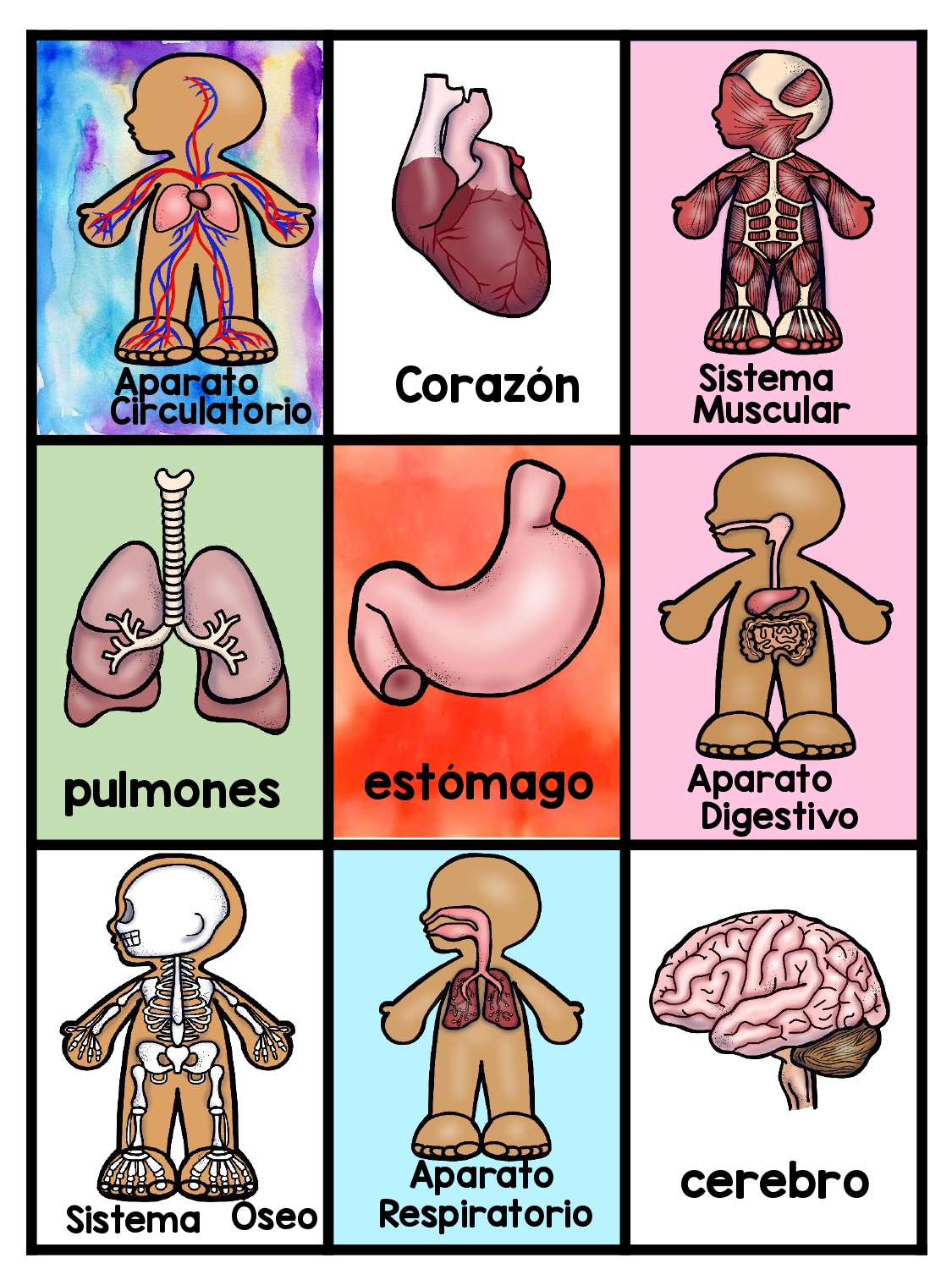 Tarjetas para trabajar el cuerpo humano en infantil y primaria_page-0001