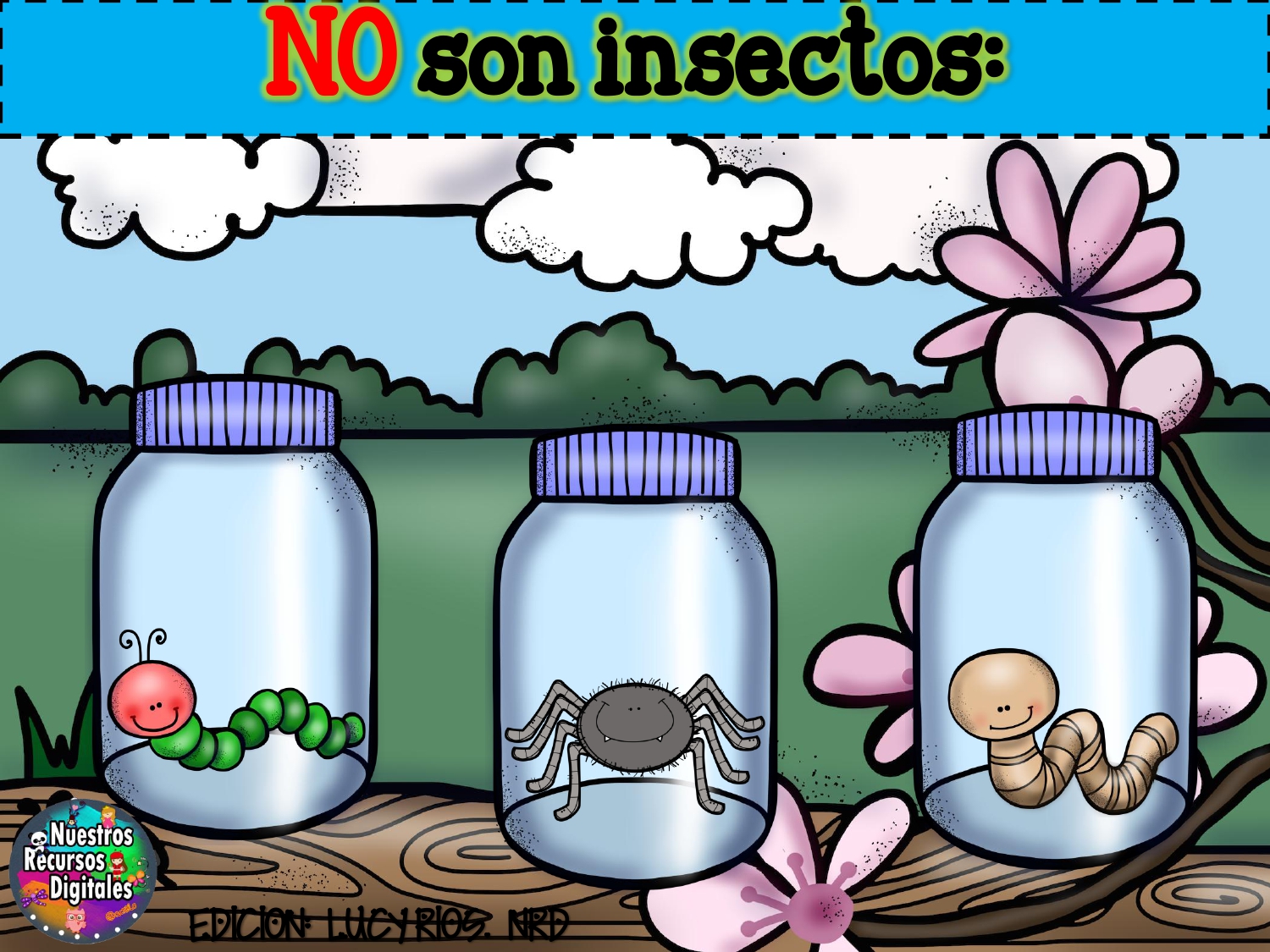 BONITAS LÁMINAS PARA TRABAJAR LOS INSECTOS_page-0013