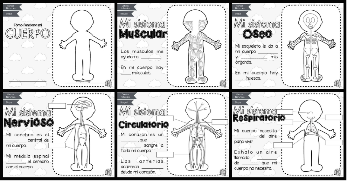 Cuaderno: Cómo funciona mi cuerpo - Actividades de infantil y primaria