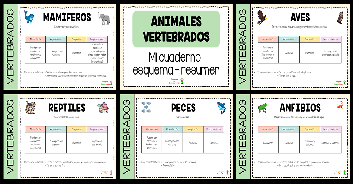 Mi cuaderno esquema - resumen: Los animales vertebrados - Actividades ...
