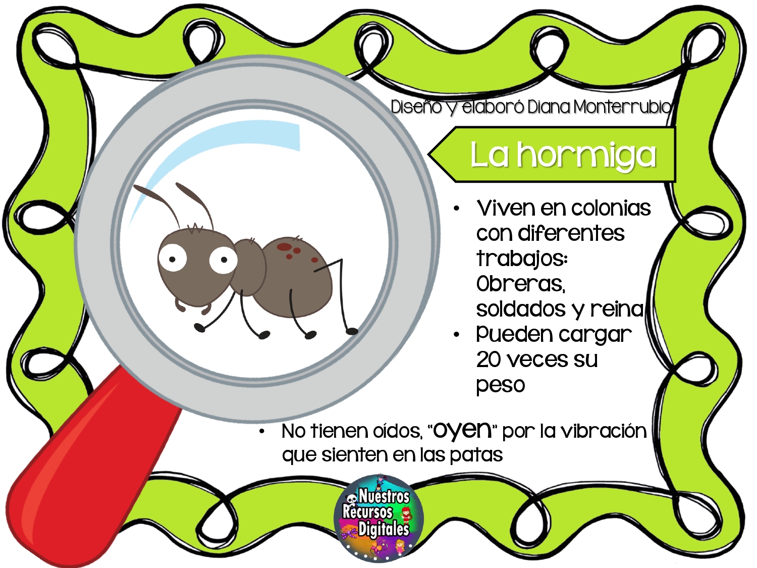 LAMINAS INSECTOS_page-0010