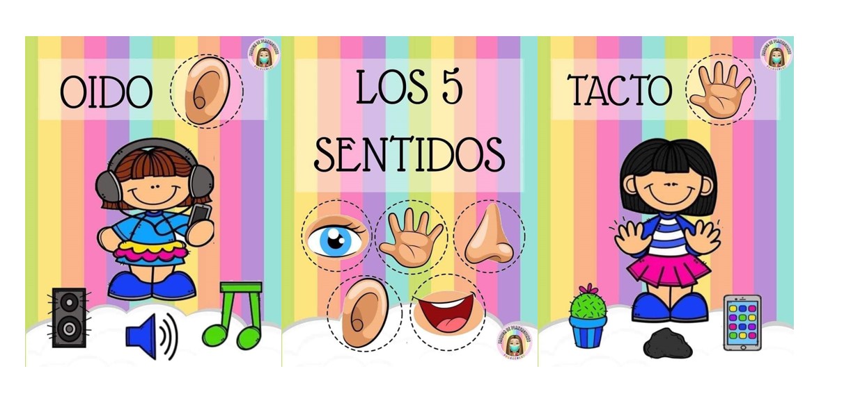 Trabajamos Los 5 Sentidos Los Cinco Sentidos En Preescolar ... Trabajamos Los 5 Sentidos Los Cinco Sentidos En Preescolar ...