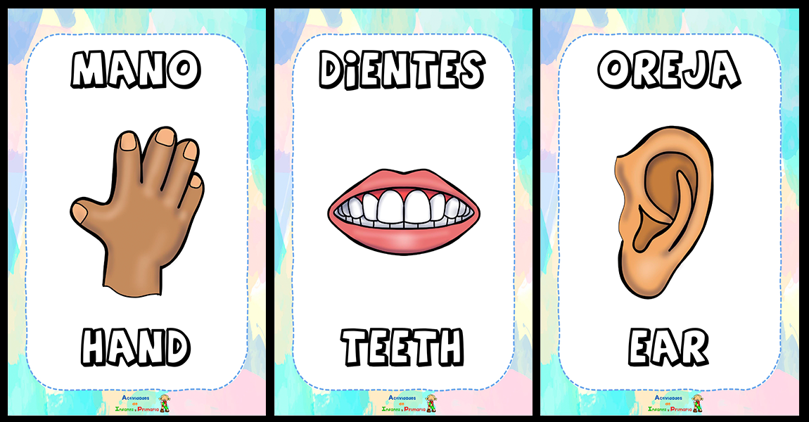 Dibujos Del Cuerpo Humano En Ingles Para Imprimir Dibujos Para