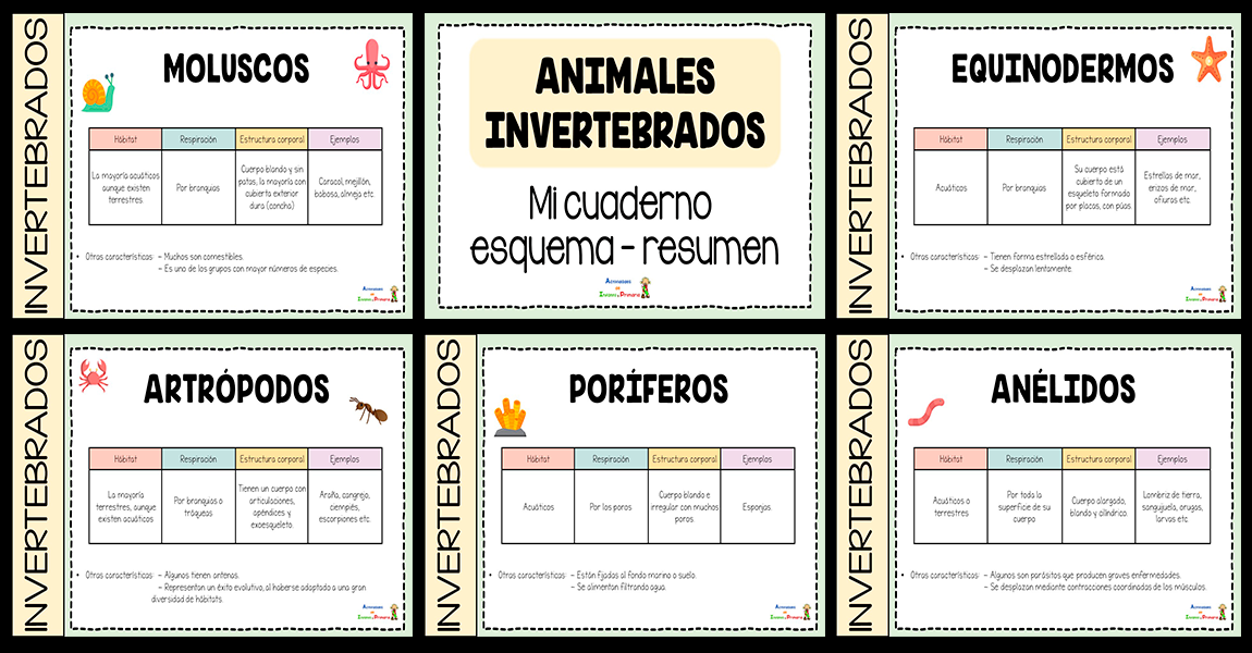 Completo cuadernillo para aprender sobre los animales INVERTEBRADOS y sus principales ...
