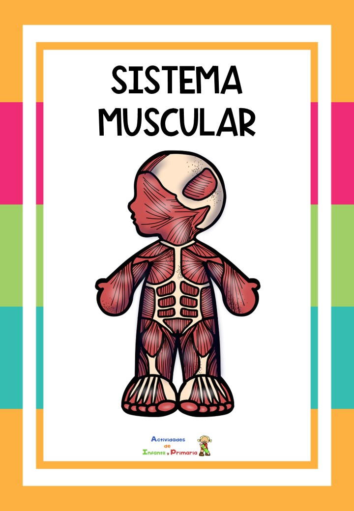 APARATOS Y SISTEMAS DEL CUERPO HUMANO (7)