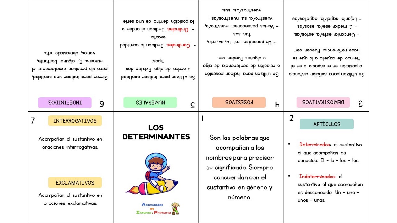 Minilibro: Tipos de determinantes - Actividades de infantil y primaria