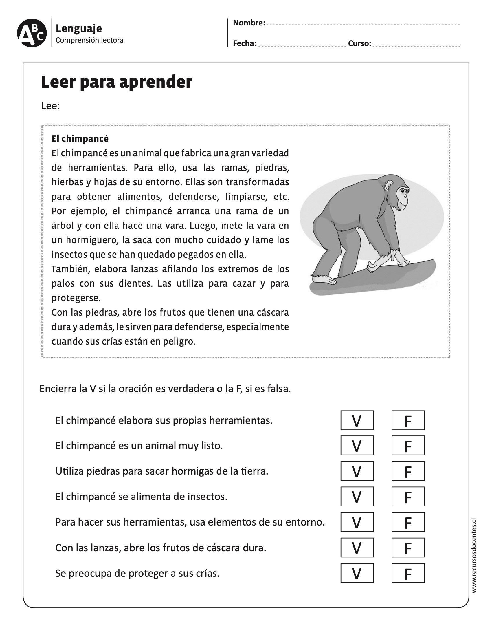 Cuaderno de comprension lectora primer ciclo 35 actividades 12