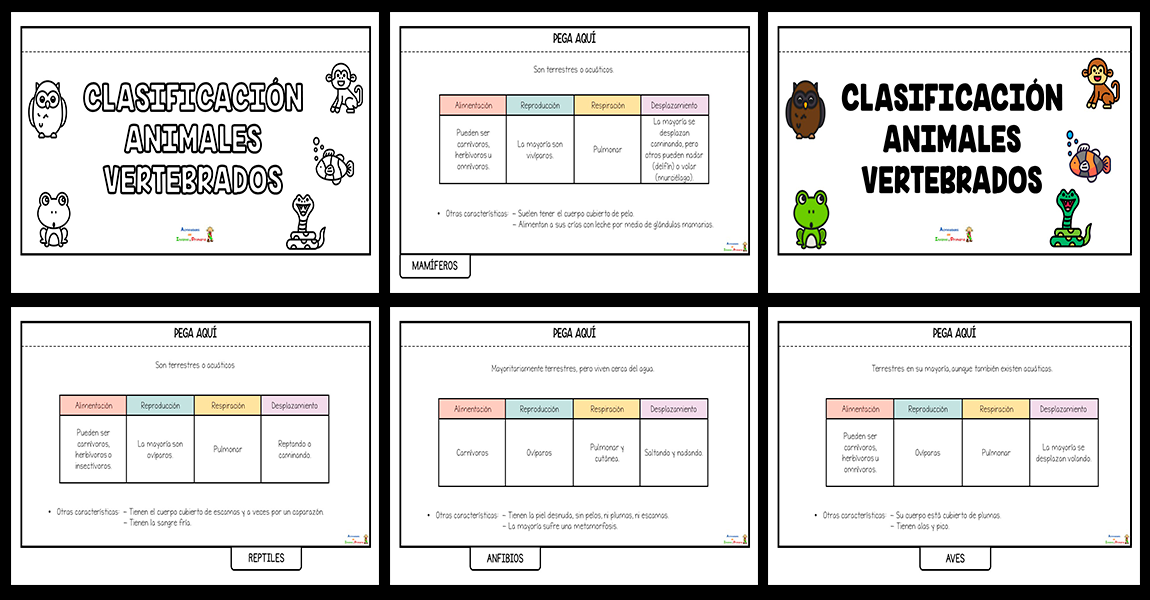 Flipbook: Clasificación animales vertebrados - Actividades de infantil y primaria