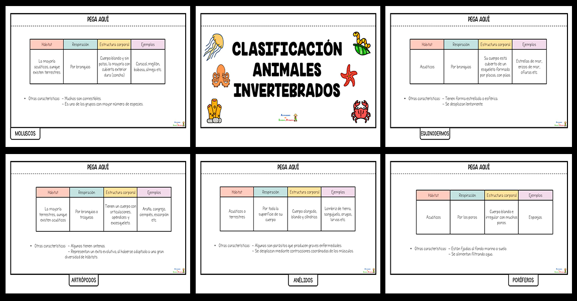 Flipbook: Clasificación animales invertebrados - Actividades de infantil y primaria