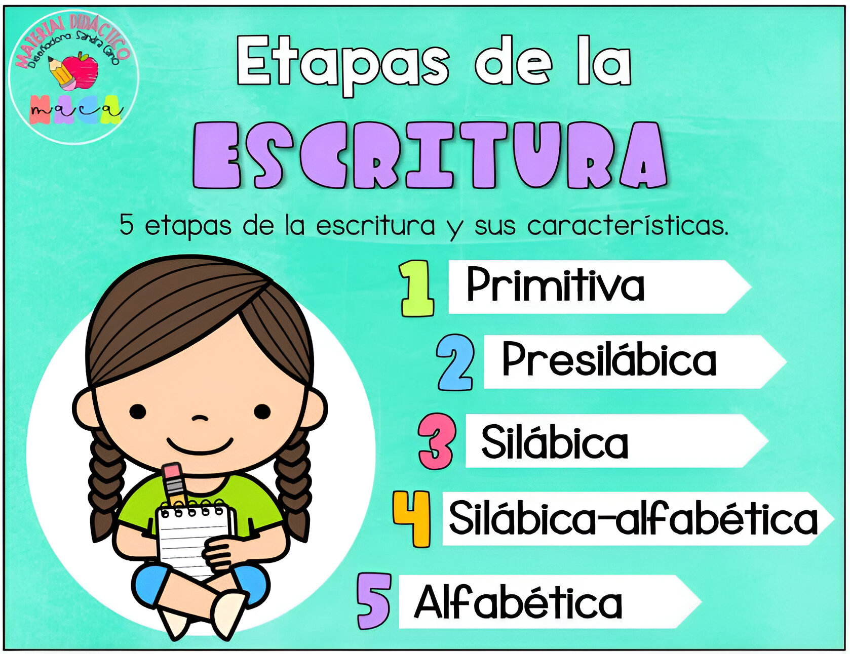 etapas escritura (1)