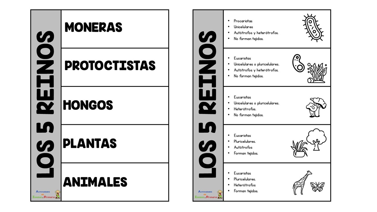 portada flipbook los 5 reinos