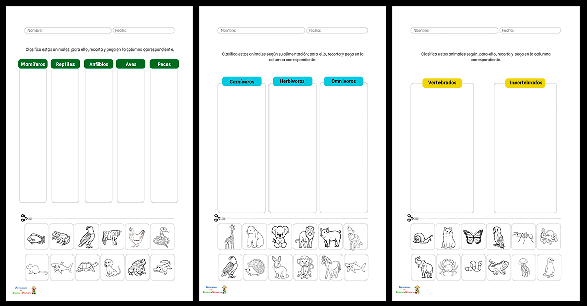 Hoja De Trabajo Para Clasificar Animales
