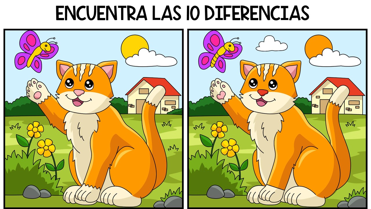 Fichas Para Preescolar De Diferencias Abc Fichas 10 Ejercicios Para