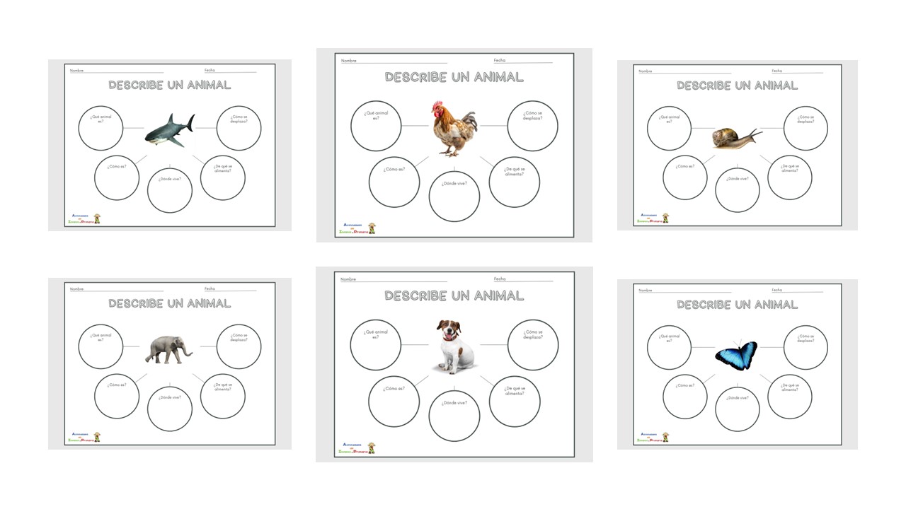 Tarjetas para describir animales - Actividades de infantil y primaria