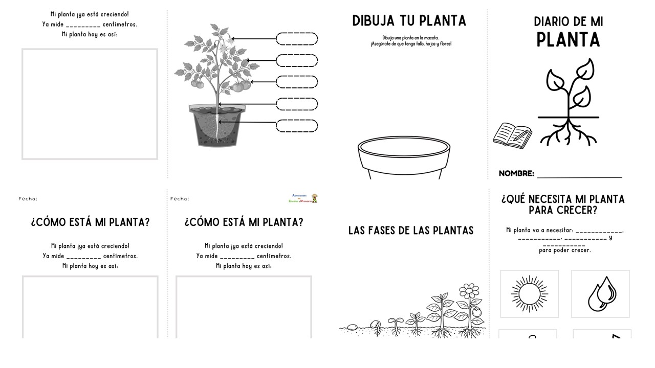 Diario de observación de mi planta - Actividades de infantil y primaria