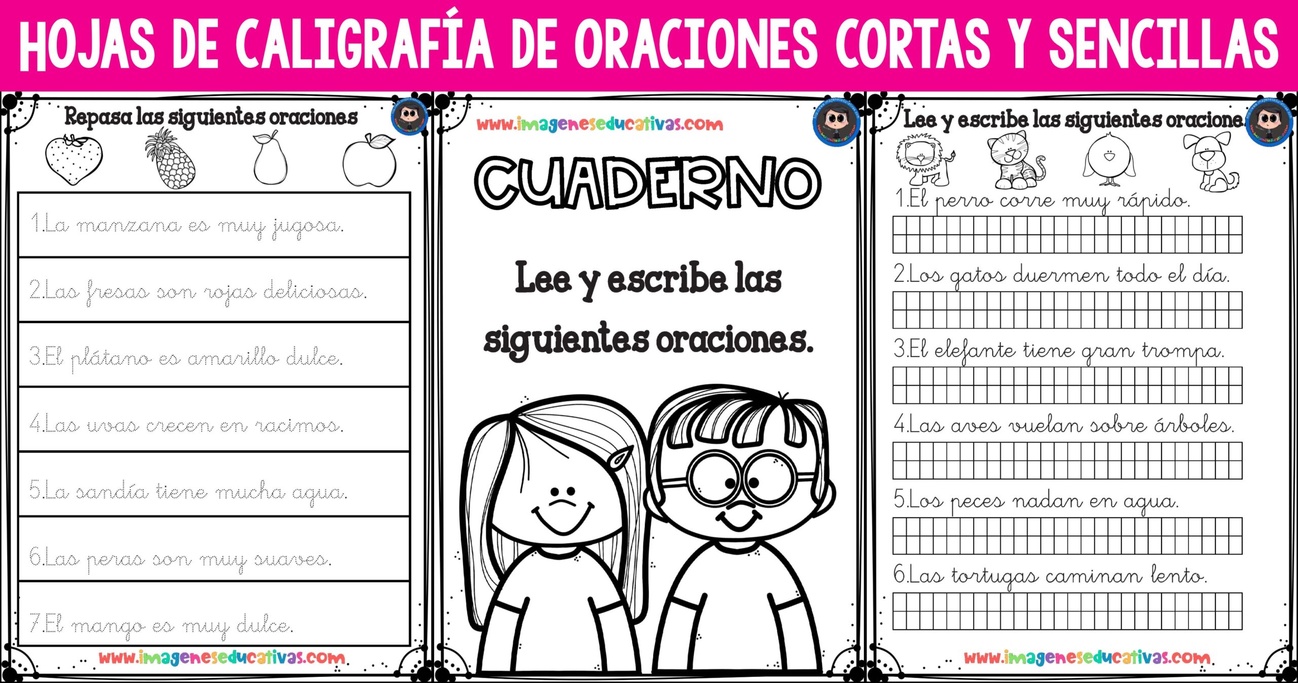 Cuadernito "Leo y escribo oraciones" con diferentes pautas de ...