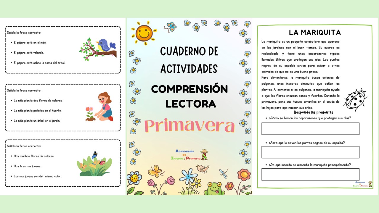 Cuaderno recopilatorio de actividades de comprenión lectora de ...